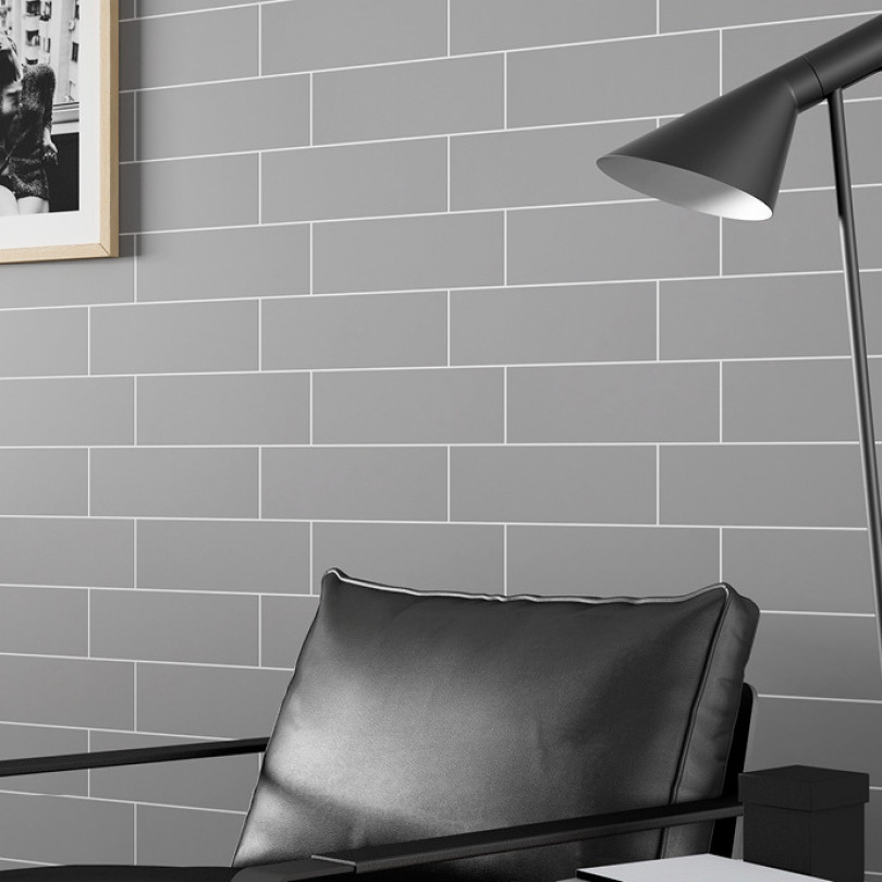 Carnival Colours | Pyro + Echo