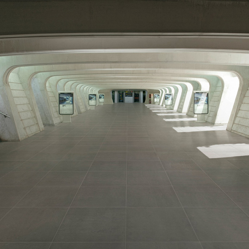 Simplicity | Pyro + Echo